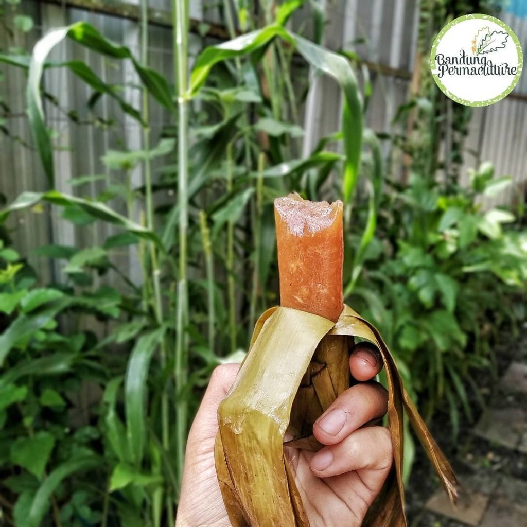 Resep Lemet Singkong Sorghum – Suma Natural Skin Care