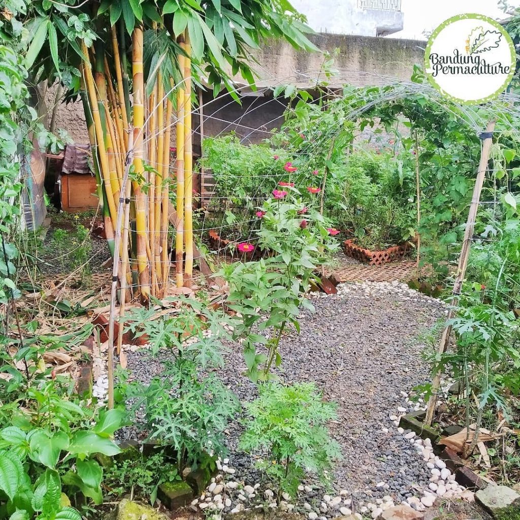 Our Permaculture Garden – Suma Natural Skin Care