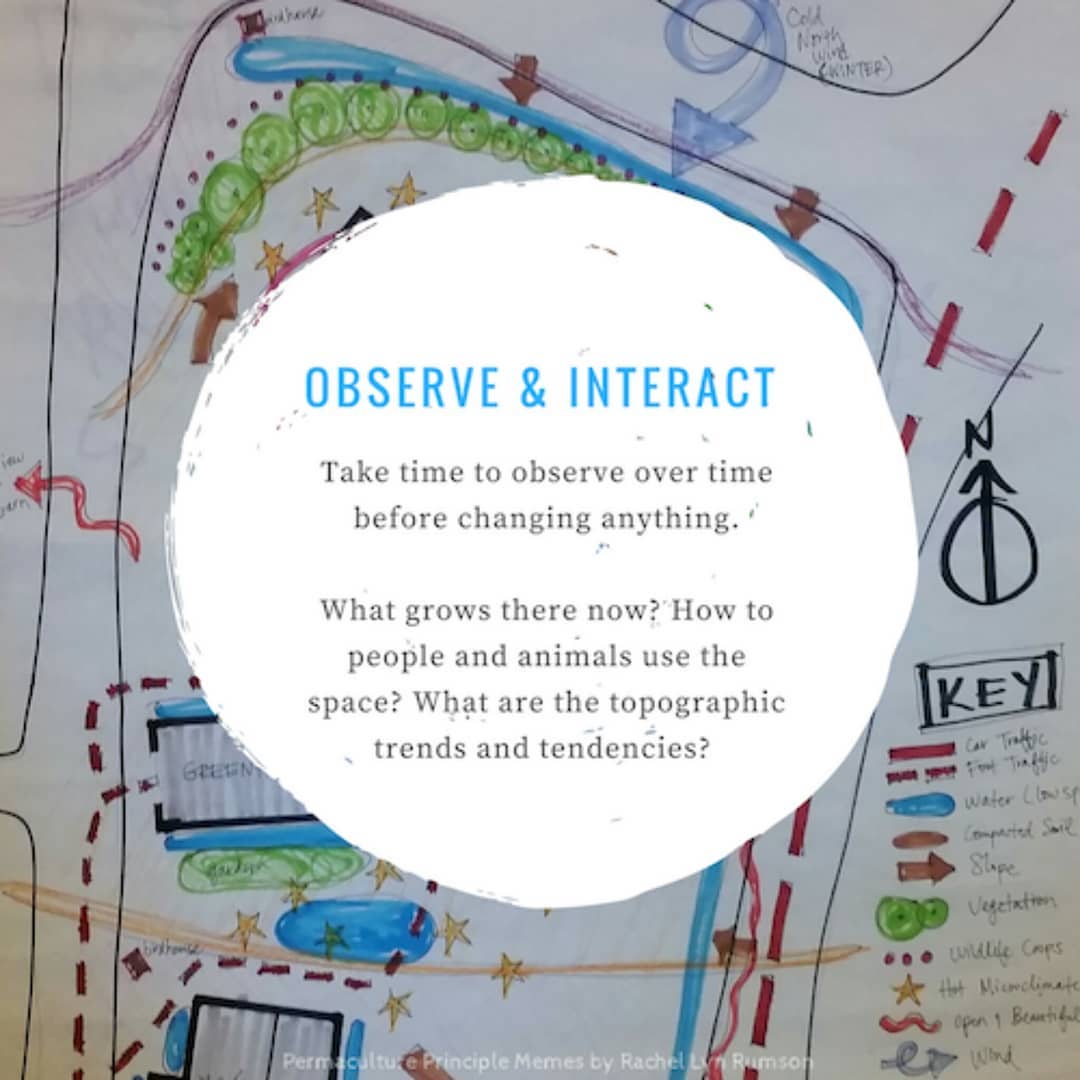 Prinsip Permaculture 1 – Observe And Interact – Suma Natural Skin Care