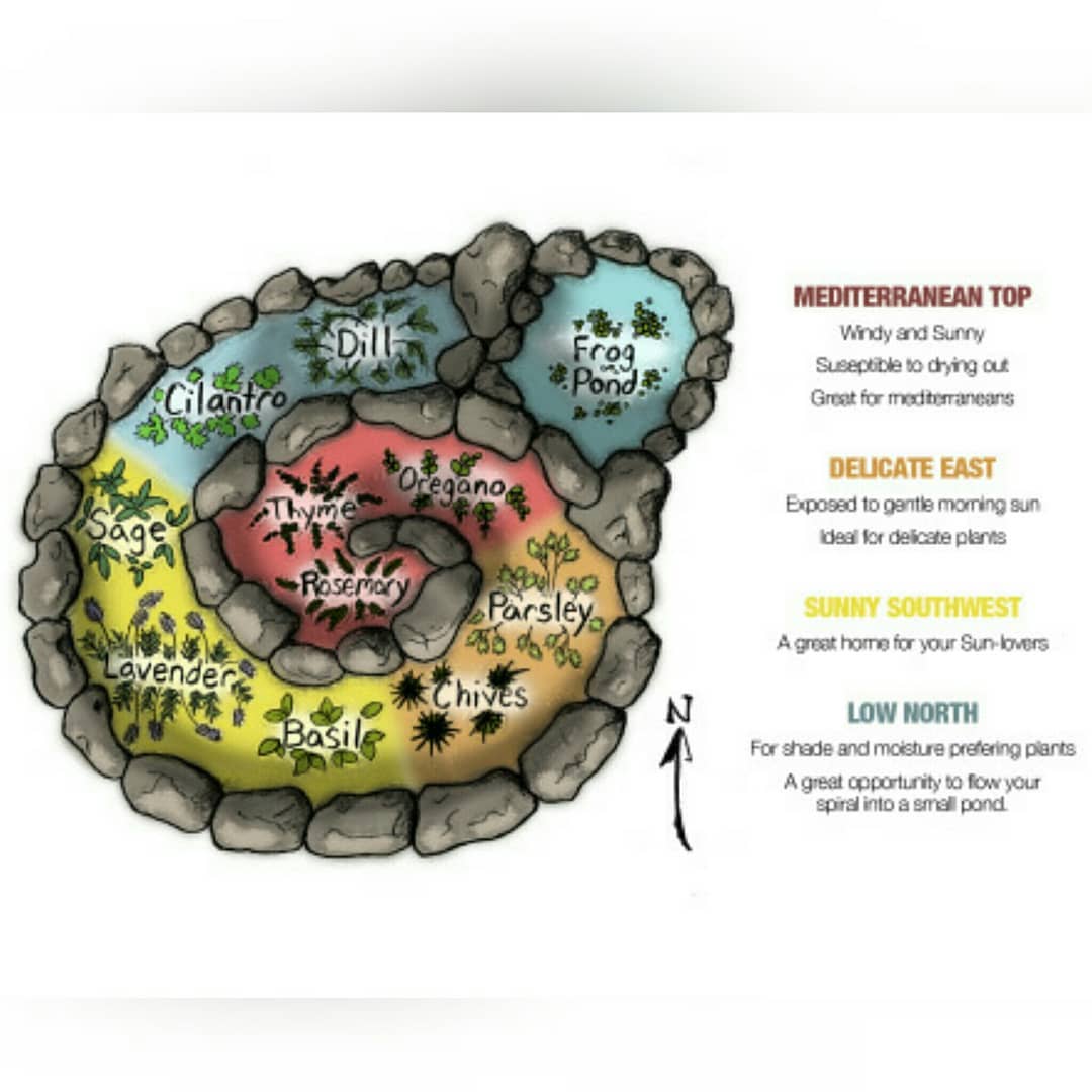 Prinsip Permaculture 7 – Design From Pattern To Detail – Suma Natural ...