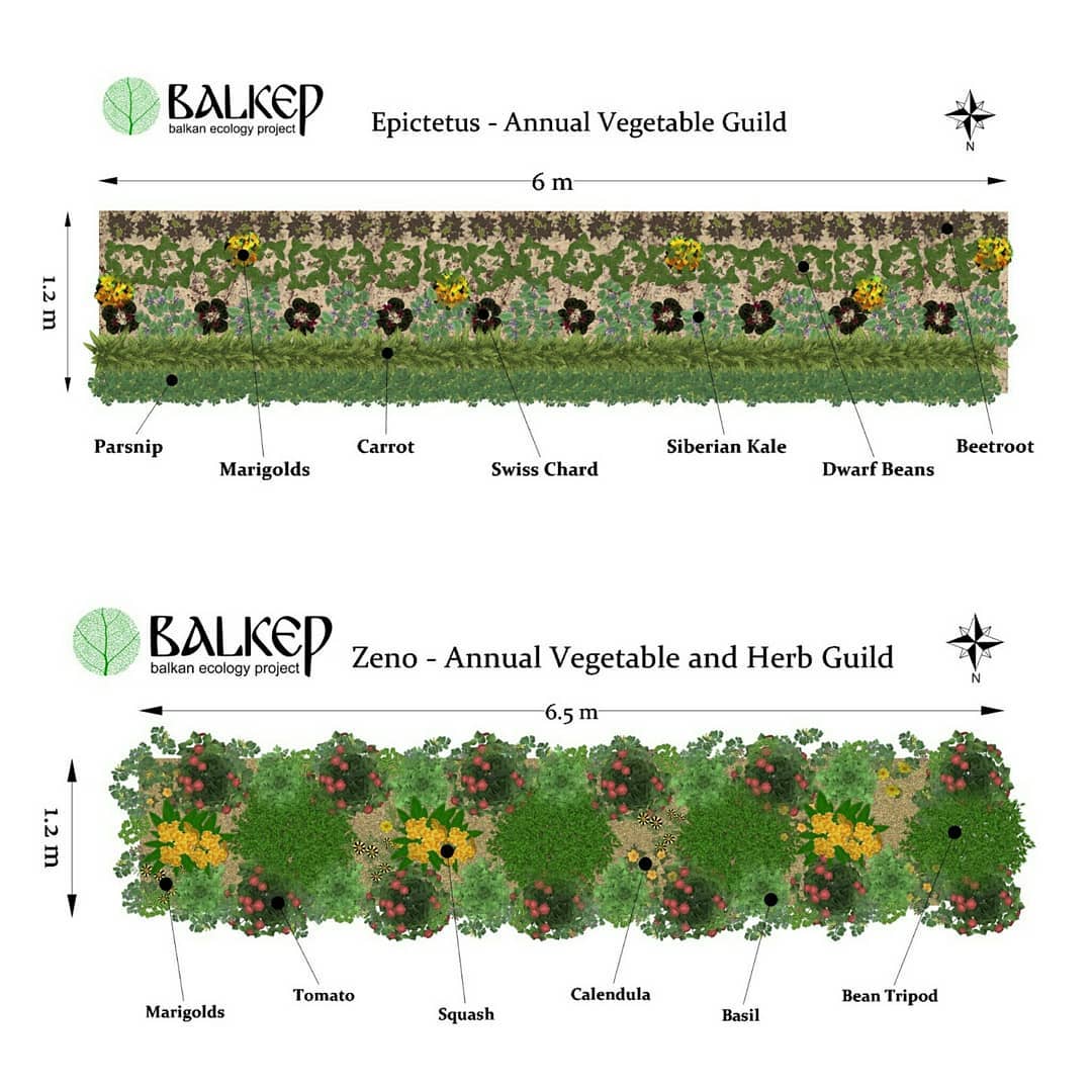 Prinsip Permaculture 7 – Design From Pattern To Detail – Suma Natural ...