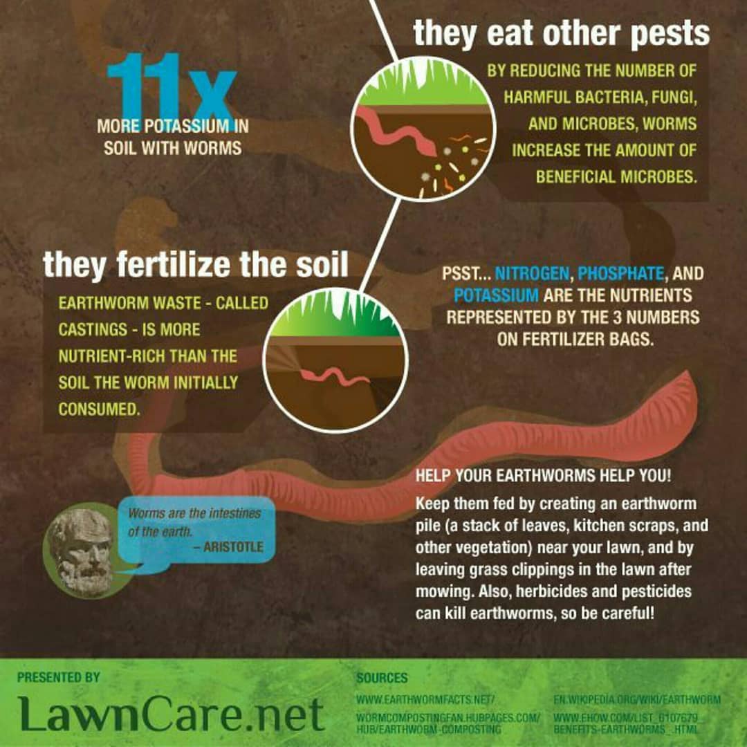 Prinsip Permaculture 8 – Integrate Rather Than Segregate – Suma Natural Skin Care