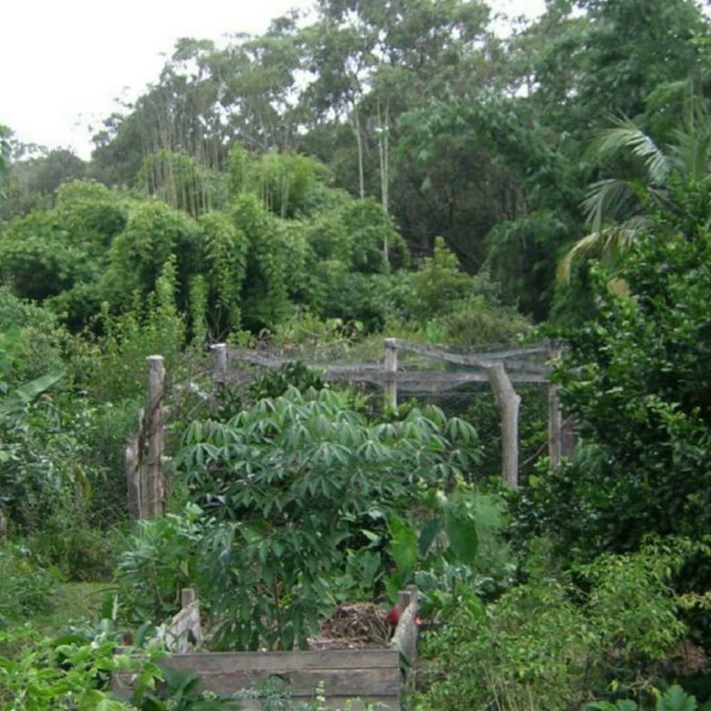 Permaculture Design System 4 – Bagaimana Pembagian Zona Permaculture ...