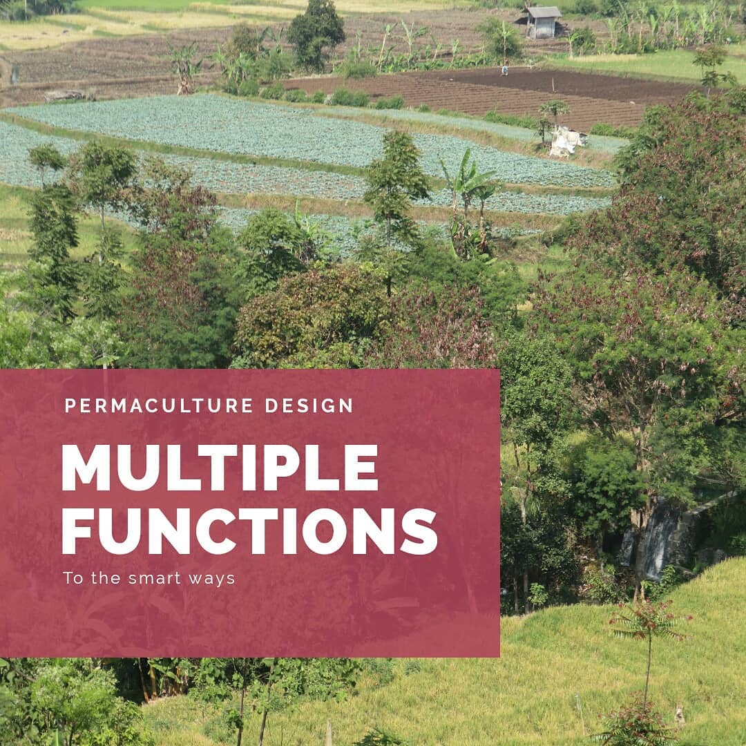 Permaculture Design System 2 – User Needs. Multiple Function – Suma ...