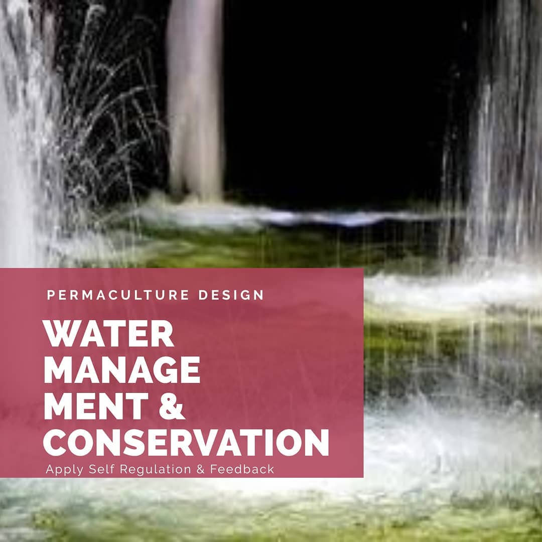 Permaculture Approach 2 – Water Management – Suma Natural Skin Care