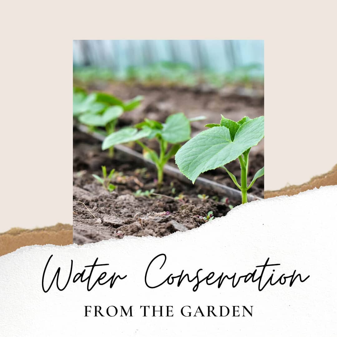 Permaculture Approach 2 – Water Conservation. Konservasi Air Dari Kebun ...